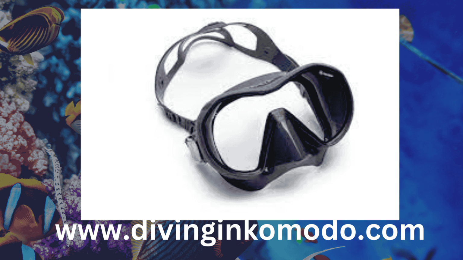 Scuba Diving Goggles - Choosing the Perfect Pair